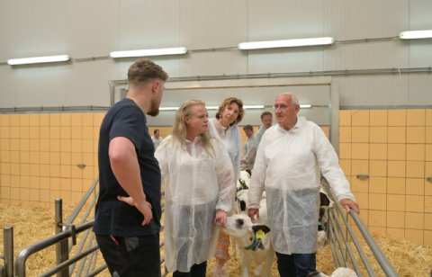 Vee&Logistiek Nederland: trek verordening diertransport recht binnen Europa - Nieuwe Oogst