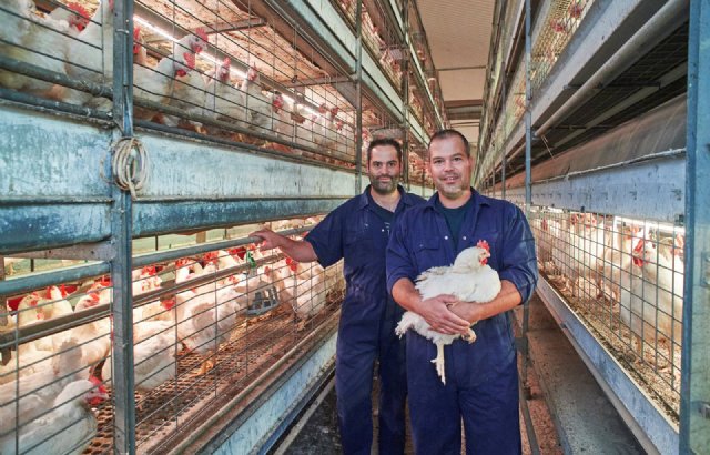 Kuijpers mag na 14 jaar vleeskuikenstal bouwen - Nieuwe Oogst