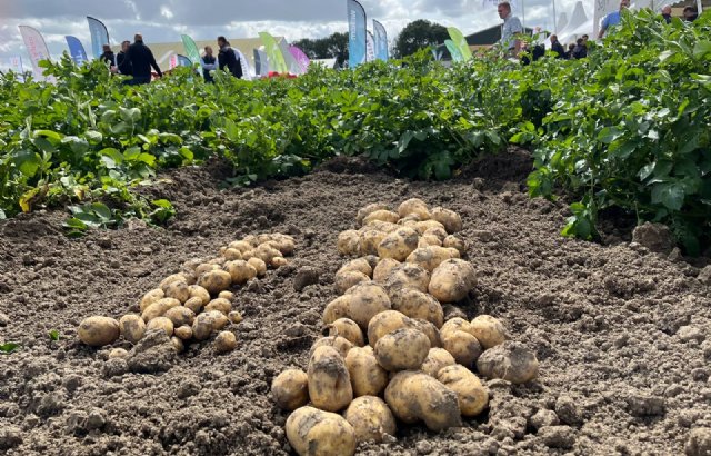Agrarisch Nieuws | Veehouderij, Akkerbouw, Tuinbouw | Nieuwe Oogst