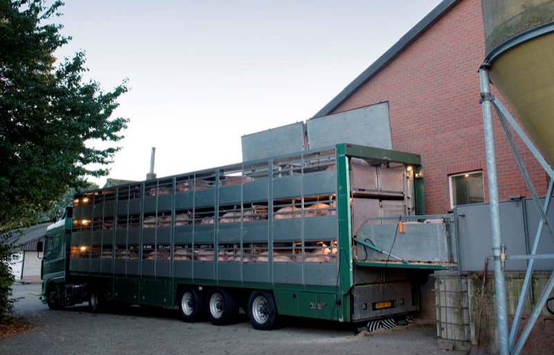 Vee&Logistiek wil ruimte van nieuwe kabinet - Nieuwe Oogst