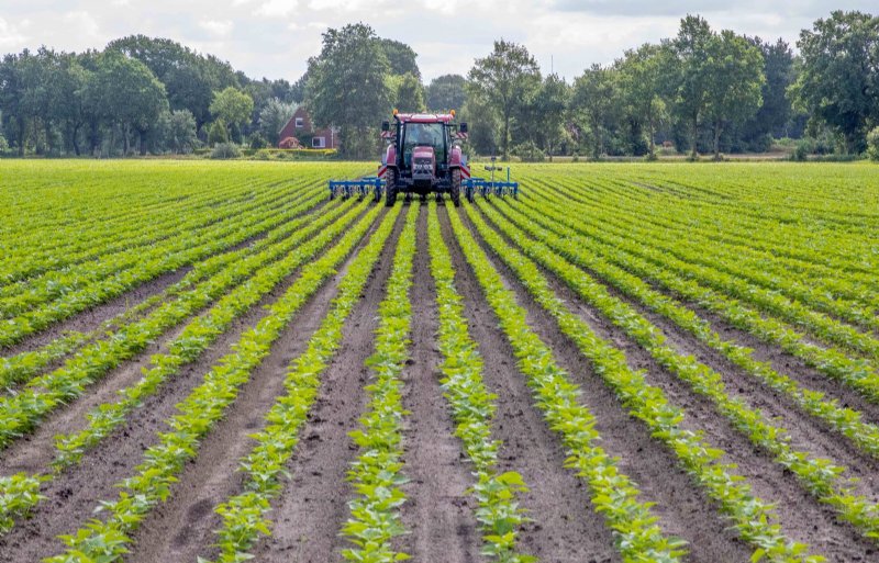 Biologische akkerbouwers vragen aandacht voor stijgende kostprijs ...