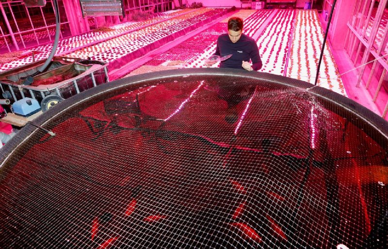 Phood Farm wil als blauwdruk dienen - Nieuwe Oogst