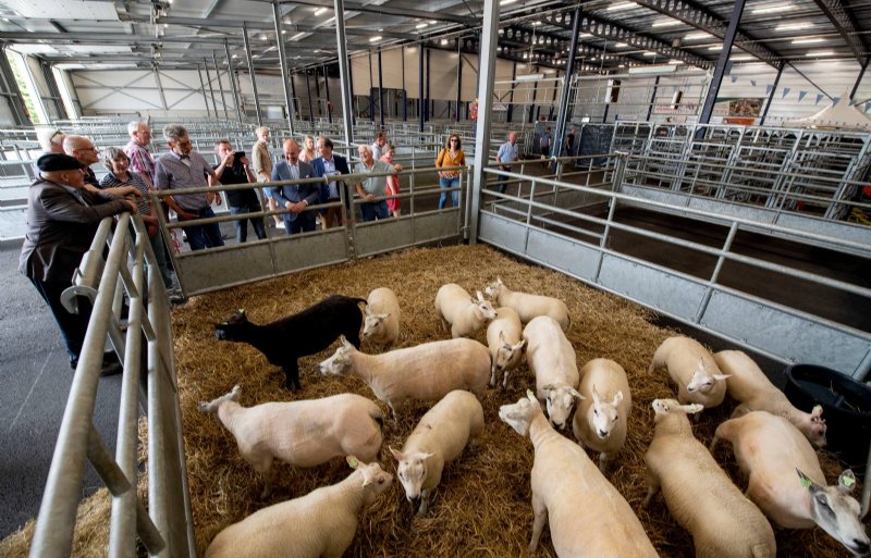 Veemarkt Leeuwarden officieel geopend - Nieuwe Oogst