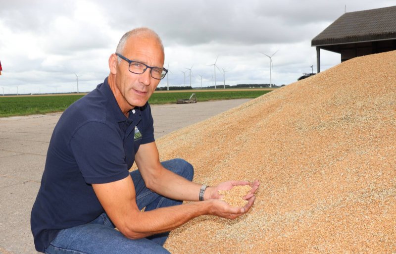 Mark Geling: 'Graan eruit in landruil was geen goede keuze' - Nieuwe Oogst