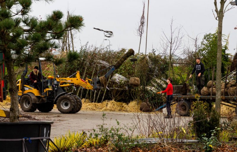 Rassenlijst Bomen uitgebreid met nieuwe opstanden en zaadgaarden ...