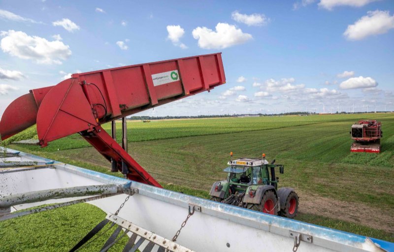 Zonder oponthoud 30 hectare erwten dorsen - Nieuwe Oogst