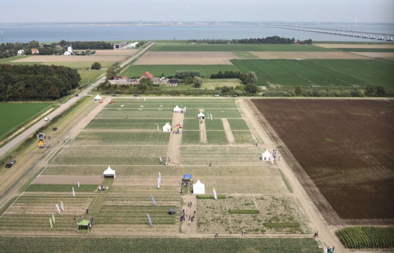 CZAV en CAV Wieringermeer fuseren onder de naam FarmPlus - Nieuwe Oogst