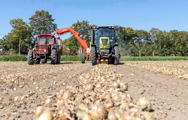 Mellema maakt familiefeestje van uien opladen - Nieuwe Oogst