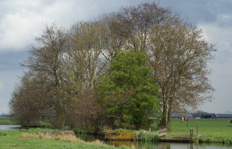 Waarde van kleine landschapselementen steeds meer aangetoond - Nieuwe Oogst