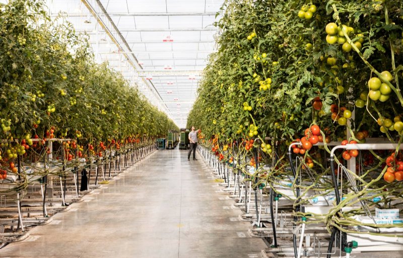 Promoten van duurzame voedselproductie - Nieuwe Oogst