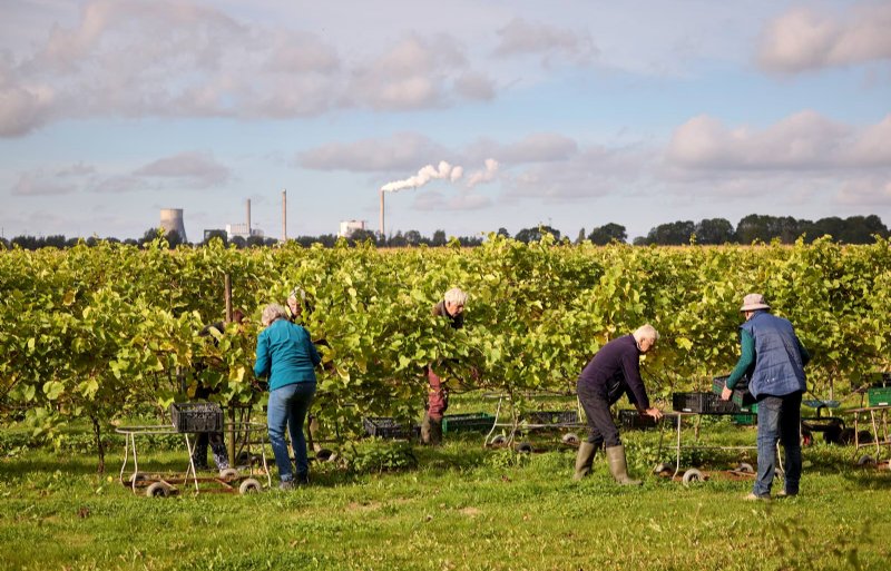 Agrarisch Regionaal Nieuws | Laatste nieuws uit eigen regio | Nieuwe ...