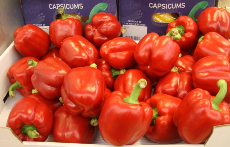 Paprikatelers willen weg bij veiling ZON - Nieuwe Oogst
